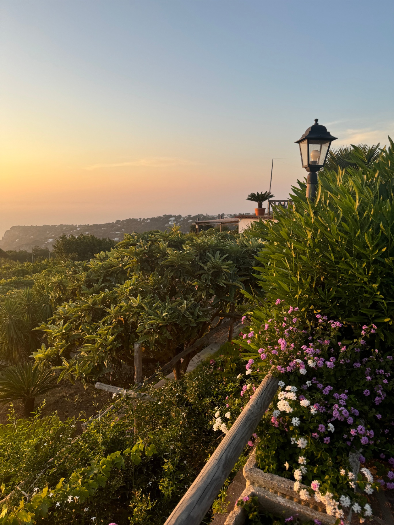 Best Restaurants in Capri, Italy (2026 Guide)